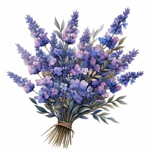 17 Lavender Bouquet Clipart Bundle, Printable Watercolor Lavender ...