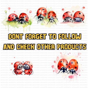 Watercolor Cute Ladybugs Clipart Bundle, Adorable Ladybug PNG Graphics ...