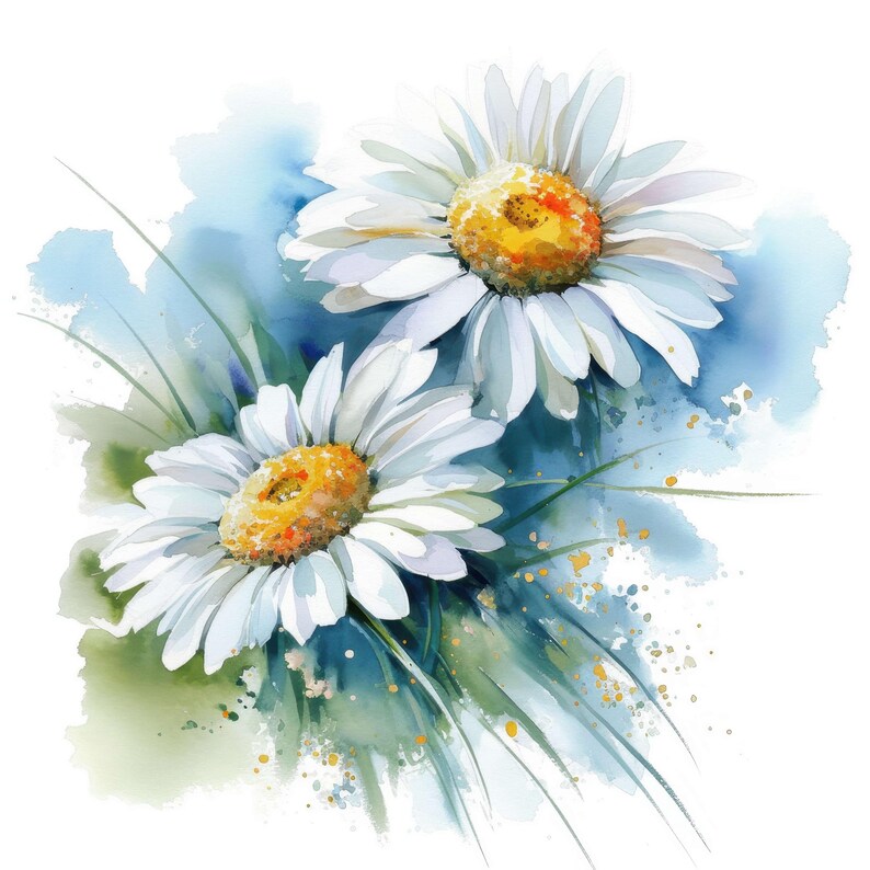 14 Daisy Bouquets Clipart Set, Spring Daisy Illustrations, Printable ...