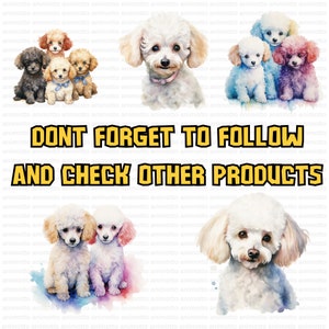 Watercolor Miniature Poodles Clipart Bundle, Cute Dog Image Set, Puppy ...