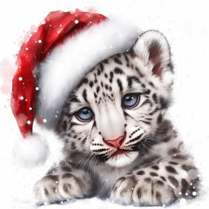 16 Snow Leopard Santa Hat Clipart Bundle, Christmas Illustrations ...