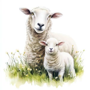 25 Mother and Baby Sheep Clipart Bundle, Printable Watercolor Farm ...