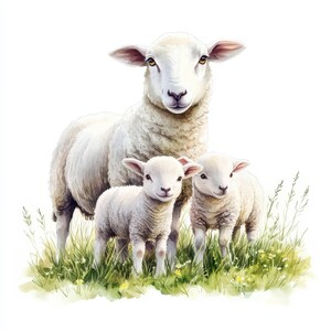 25 Mother and Baby Sheep Clipart Bundle, Printable Watercolor Farm ...