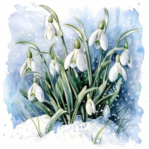 14 Snowdrops Clipart Bundle , Spring Flowers Clipart Set, Printable ...