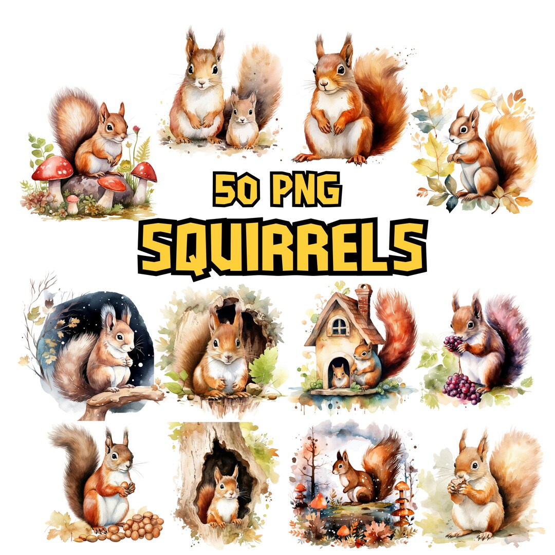 Watercolor Squirrels Clipart Bundle, Happy Squirrel PNG Graphics ...