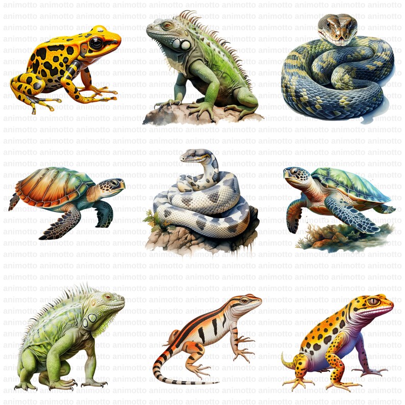 Watercolor Reptiles Clipart | Chameleon, Lizard, Snake, Turtle ...