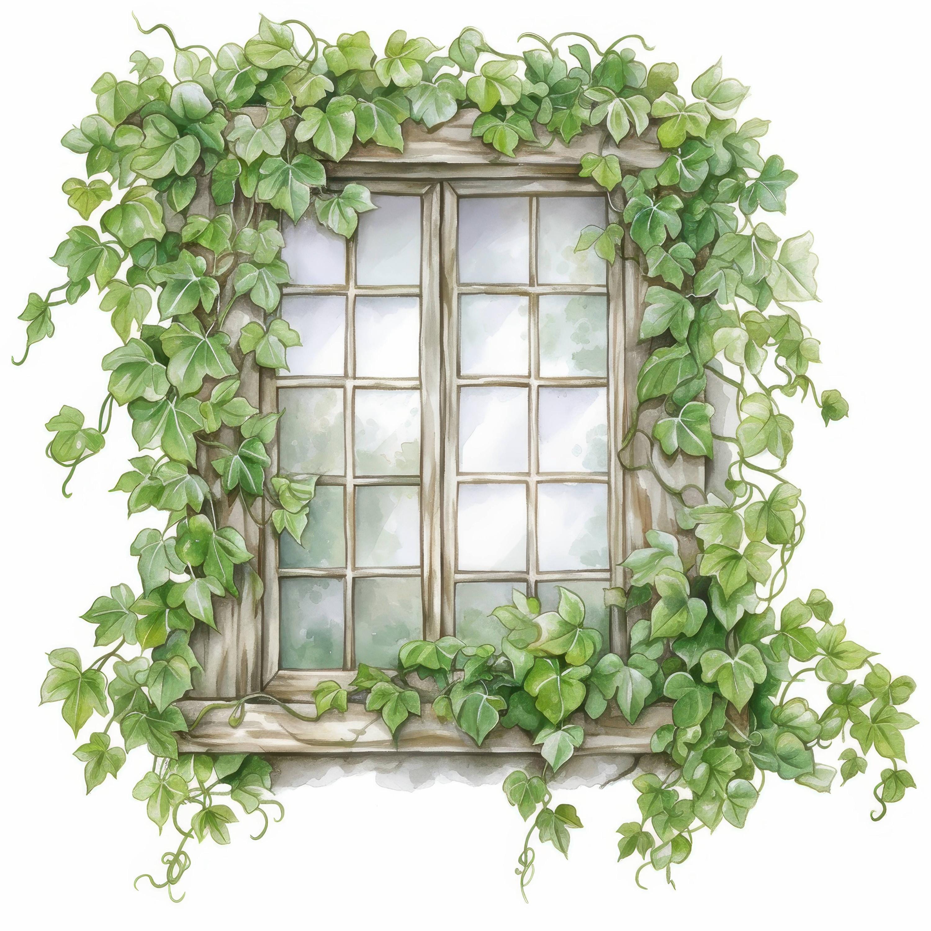 19 Ivy Window Clipart Bundle, Abandoned Window Illustrations, Printable ...