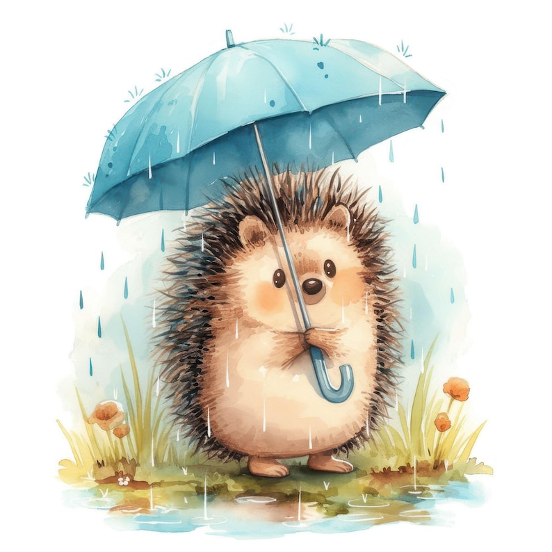 15 Hedgehog Rainy Clipart, Printable Watercolor Nursery Hedgehog ...