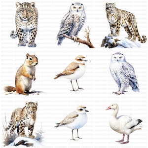 Watercolor Winter Animals Clipart Bundle, Tundra Animals Clipart Set ...