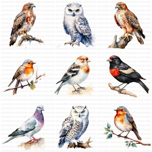 Watercolor Winter Birds Clipart Bundle, Seasonal Bird Clipart Set, Blue ...