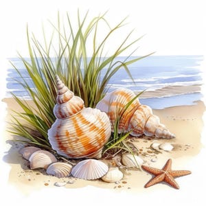 15 Tropical Beach Shells Clipart Bundle, Printable Watercolor Summer ...