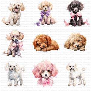 Watercolor Miniature Poodles Clipart Bundle, Cute Dog Image Set, Puppy ...