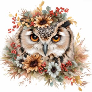12 Floral Feathered Owl Clipart Set, Animal Illustrations, Printable ...