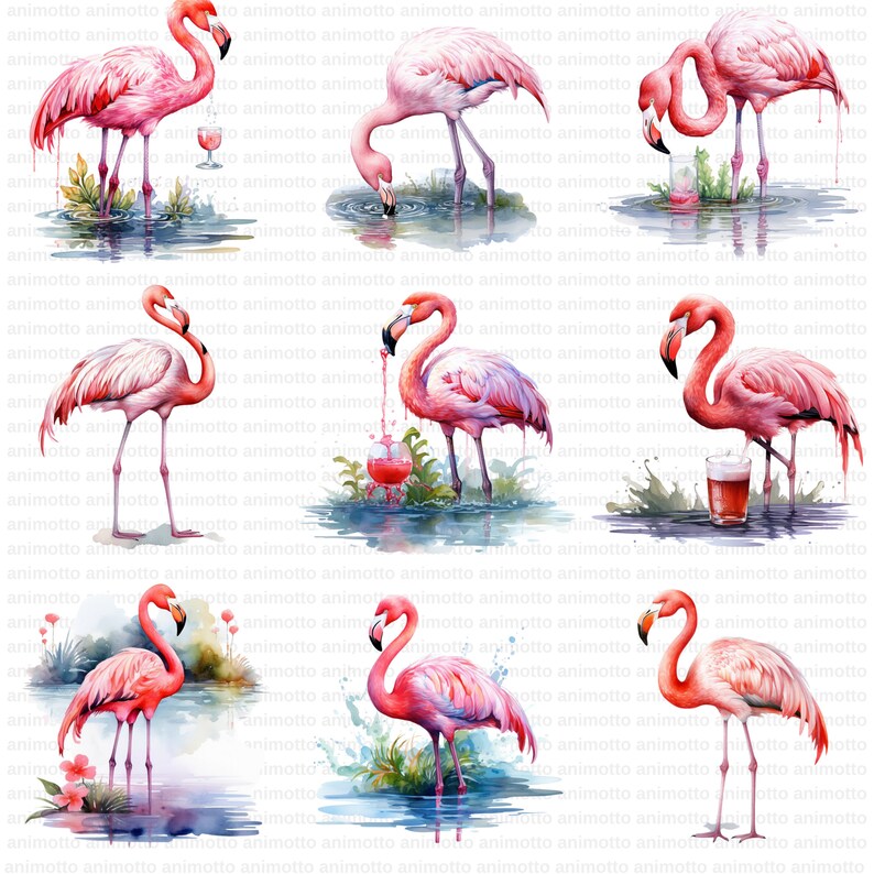 Watercolor Flamingos Clipart Bundle, Tropical Bird Clipart Set, Pink ...
