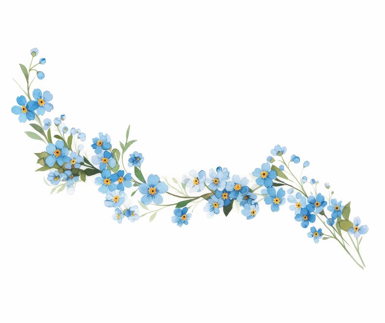 12 Forget Me Not Borders Clipart Bundle, Floral Frame Clipart ...