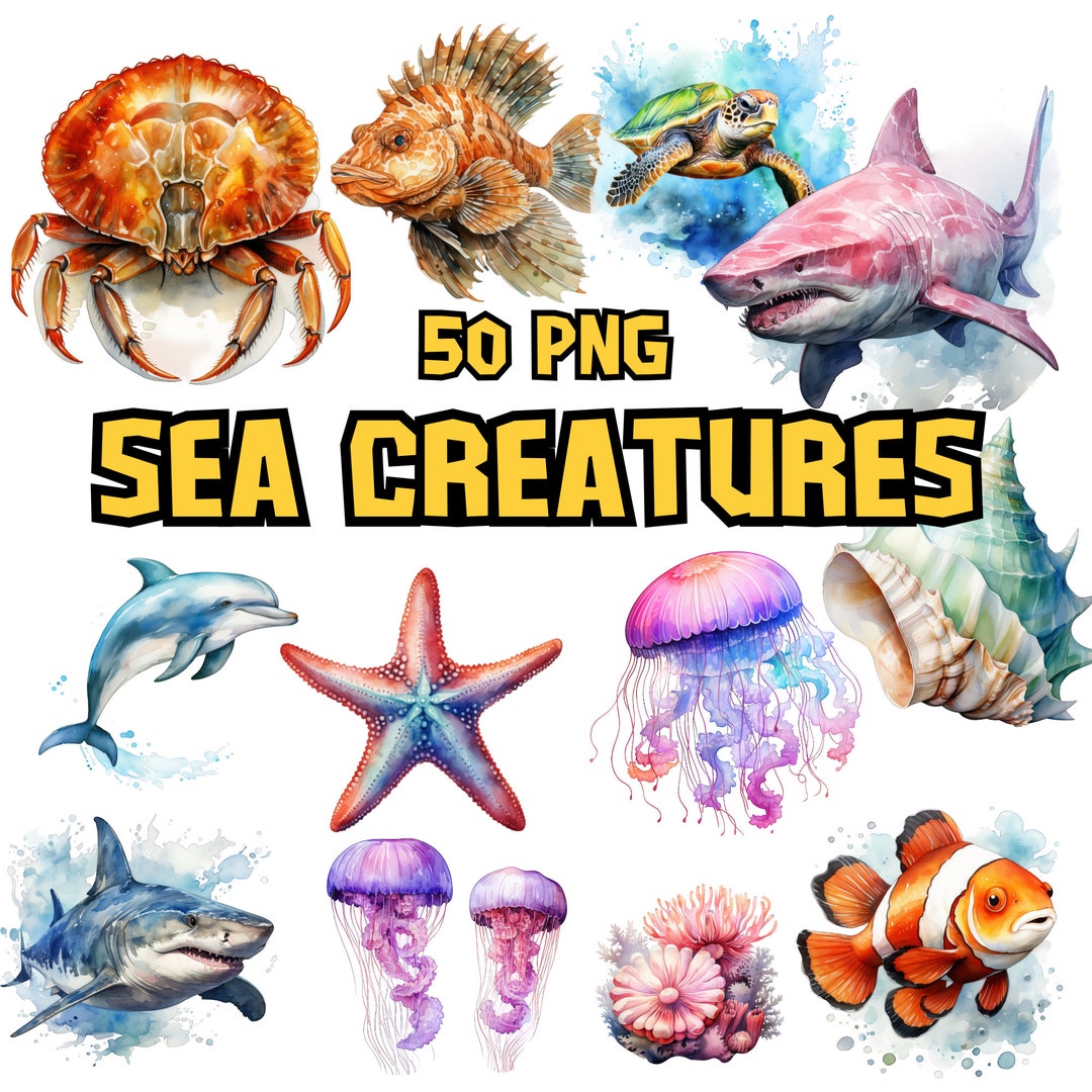 Watercolor Sea Creatures Clipart | Octopus, Starfish, Turtle, Clownfish ...
