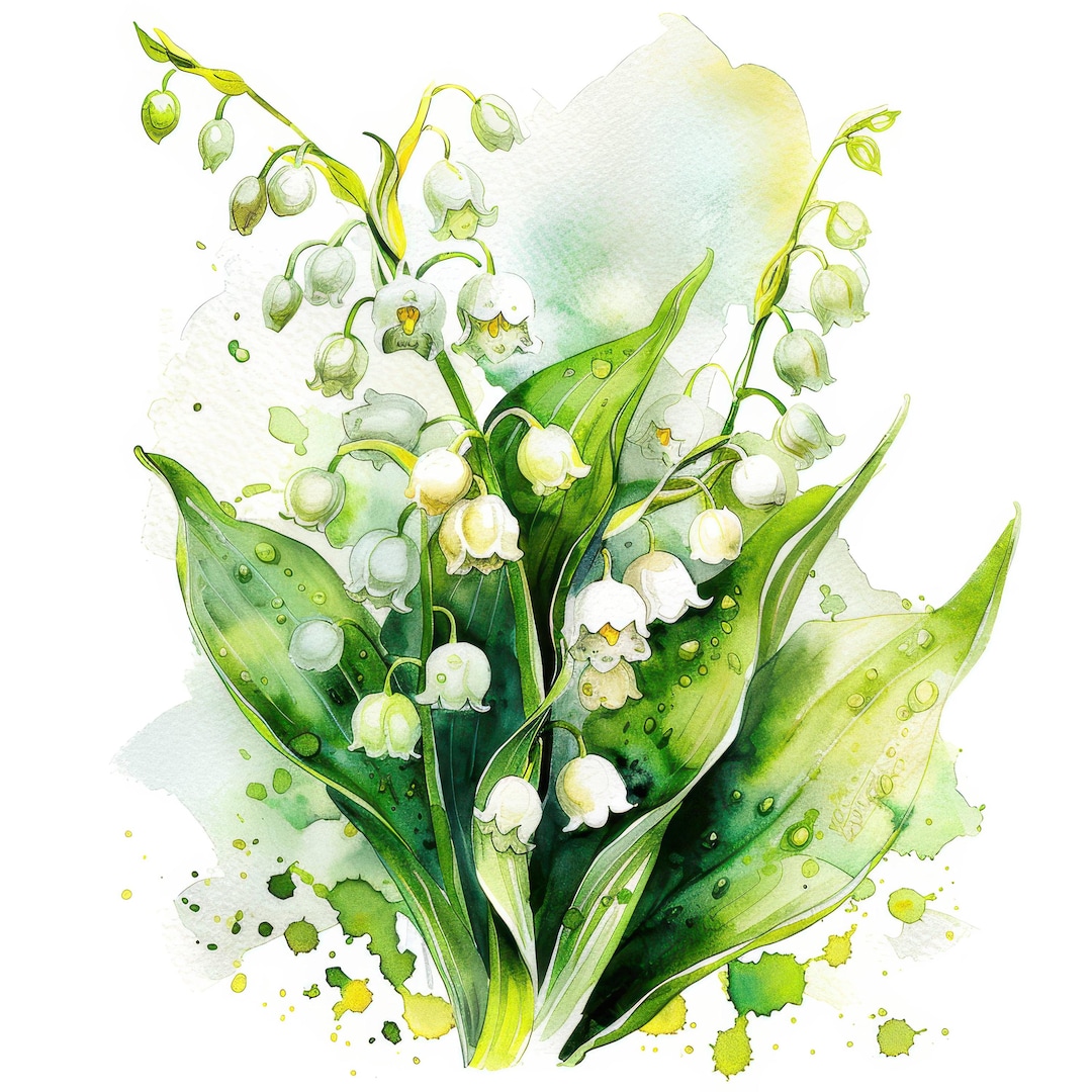 Lily of the Valley Flower Clipart Bundle, 12 High Quality JPG Images ...