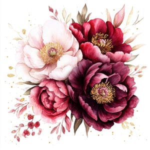 12 Maroon Peonies Clipart Bundle, Maroon Peony Flowers, Watercolor ...
