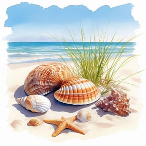 14 Summer Seashells Clipart Bundle, Seashell Prints Illustrations ...