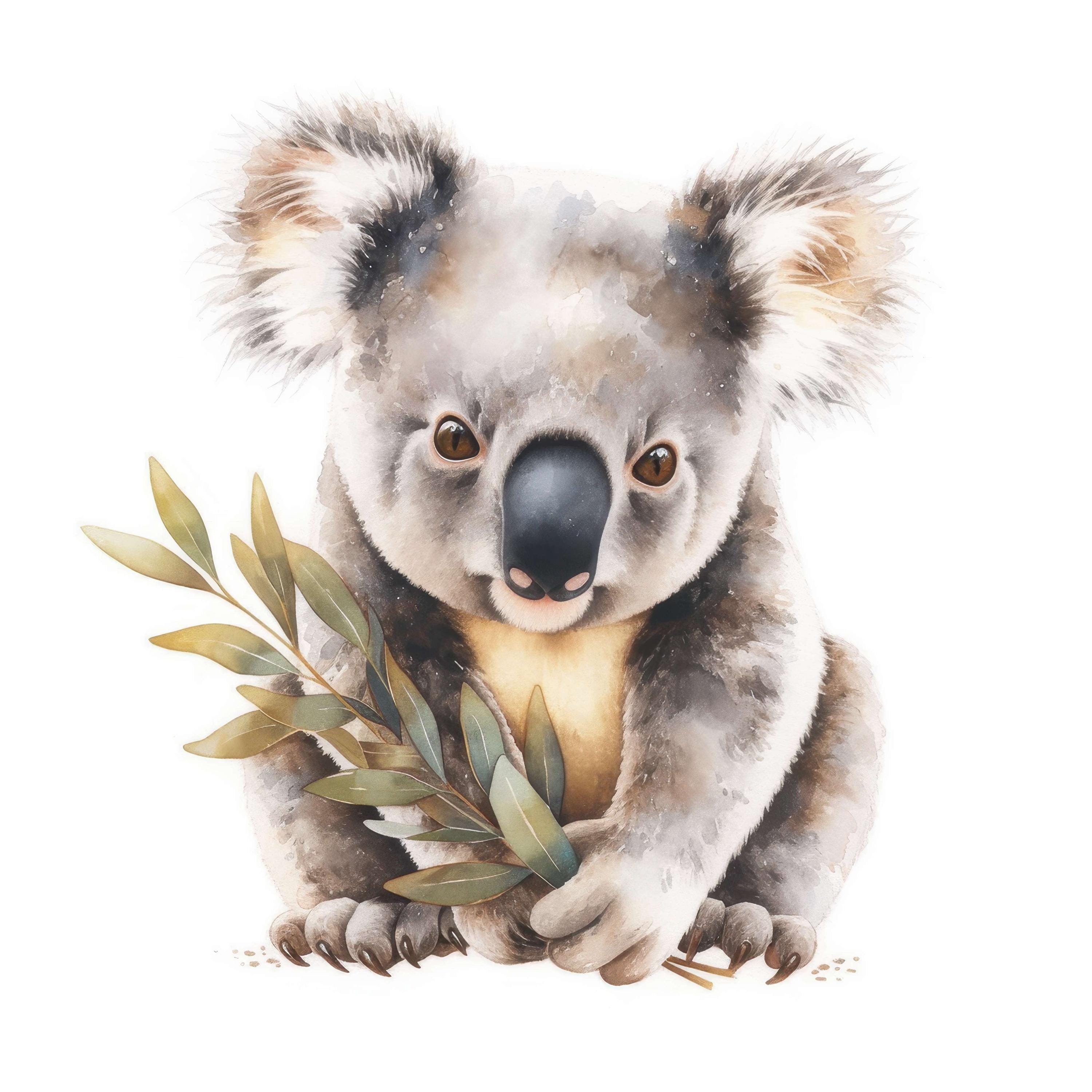 18 Baby Koala Clipart Set, Printable Watercolor Cute Koala Bear Clipart ...