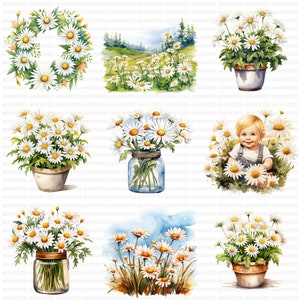 Watercolor Daisies Clipart Bundle, Spring Flower Clipart Set, Floral ...