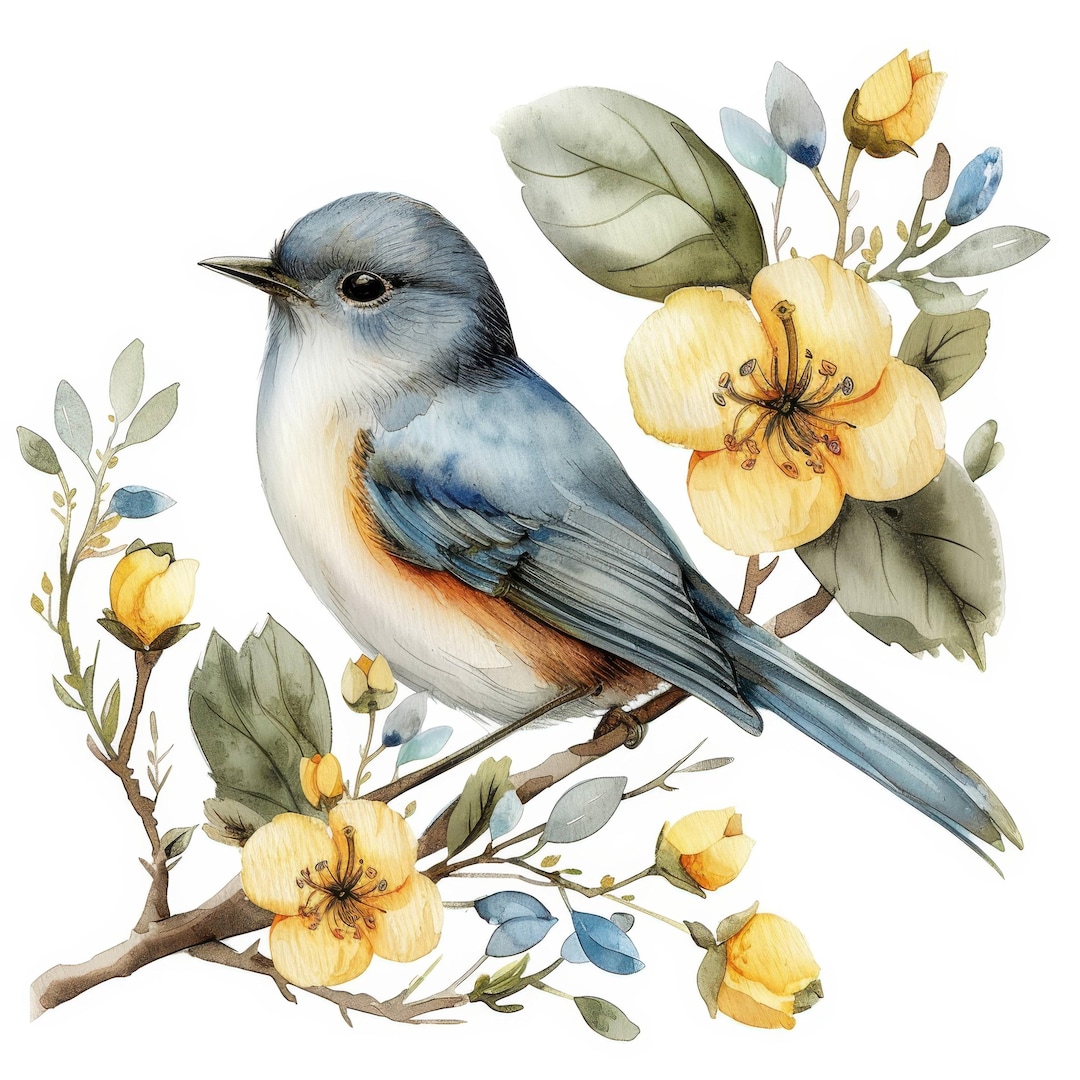 21 Vintage Retro Birds Clipart, Floral Bird, Printable Watercolor ...