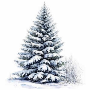 13 Winter Christmas Tree Clipart Bundle, Xmas Tree Illustrations ...