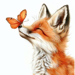17 Fox and Butterfly Clipart Bundle, Cute Fox Baby Illustrations ...