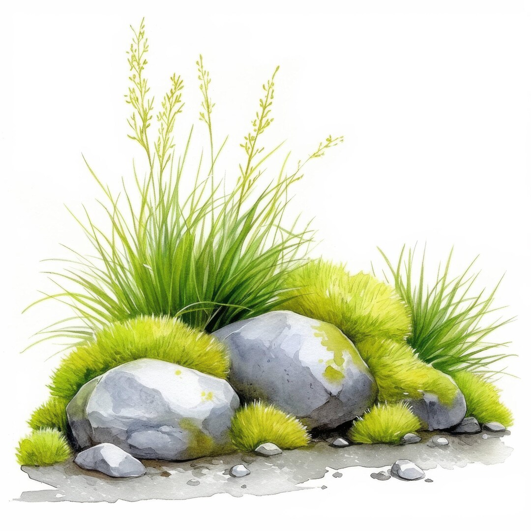 14 Moss Magic Clipart Bundle, Enchanting Nature Illustrations ...