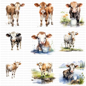 Watercolor Cows Images Clipart Bundle, Barn, Farm Animal, Milk Pail ...