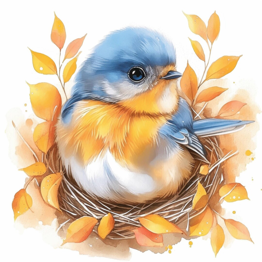 17 Bird Nest Building Clipart Bundle, Bird With Nest Illustration ...