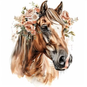 14 Floral Horses Watercolor Clipart Bundle, Printable Watercolor ...