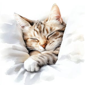 18 Sleeping Kitten Clipart, Cute Cat Clipart, Printable Watercolor ...