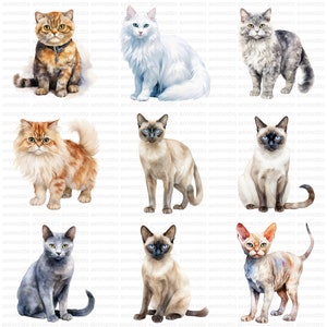 Watercolor Cat Breeds Clipart Bundle, Cute Cats Clipart Set, Kitten PNG ...