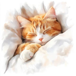18 Sleeping Kitten Clipart, Cute Cat Clipart, Printable Watercolor ...