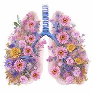10 Spring Lungs Clipart Bundle, Floral Human Lung Illustrations ...