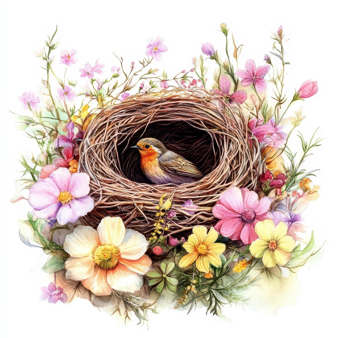 14 Floral Bird Nest Clipart Bundle, Decorative Nest, Printable ...