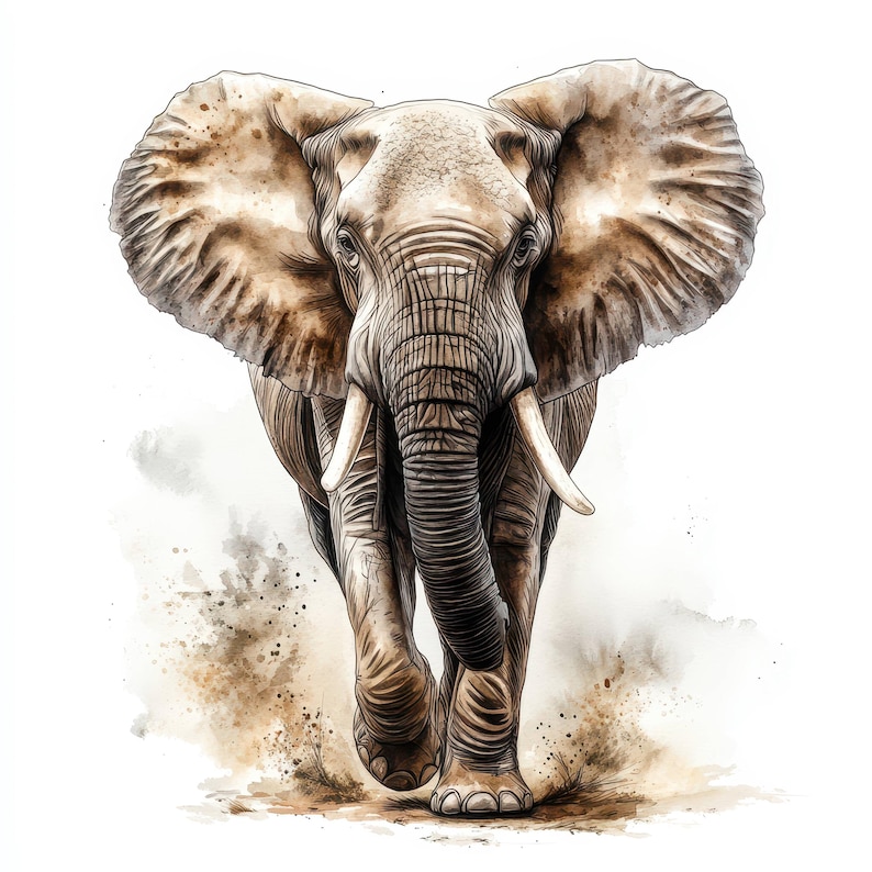 25 Elephant Watercolor Clipart Bundle, Printable Watercolor Clipart ...