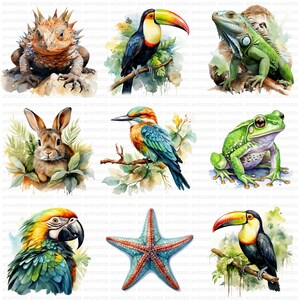 Watercolor Tropical Animals Clipart Bundle | Flamingo, Parrot ...