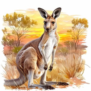 15 Australian Kangaroo Clipart Bundle, Kangaroo Prints Images ...