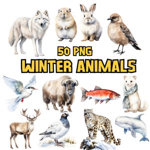 Watercolor Winter Animals Clipart Bundle, Tundra Animals Clipart Set ...