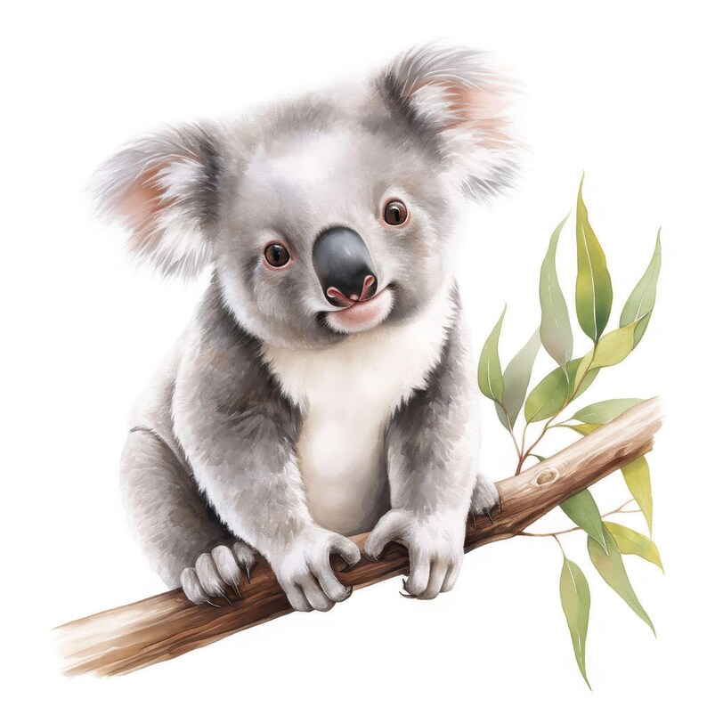 18 Baby Koala Clipart Set, Printable Watercolor Cute Koala Bear Clipart ...