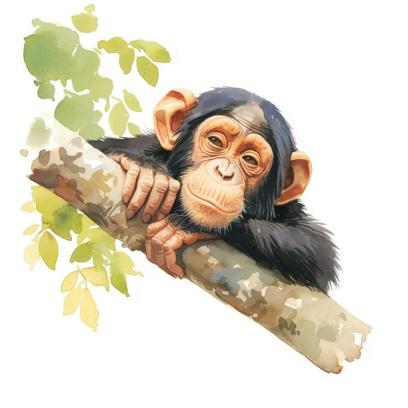 12 Cute Monkey Clipart Set, Printable Watercolor Little Chimp Clipart ...