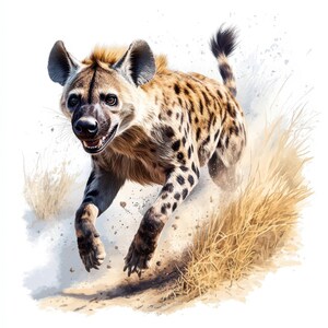 15 Watercolor Hyena Clipart Bundle, Wild Safari Animal Graphics, Card ...