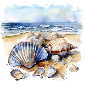 11 Watercolor Seashells and Beach Clipart, Summer Clipart, Nautical ...