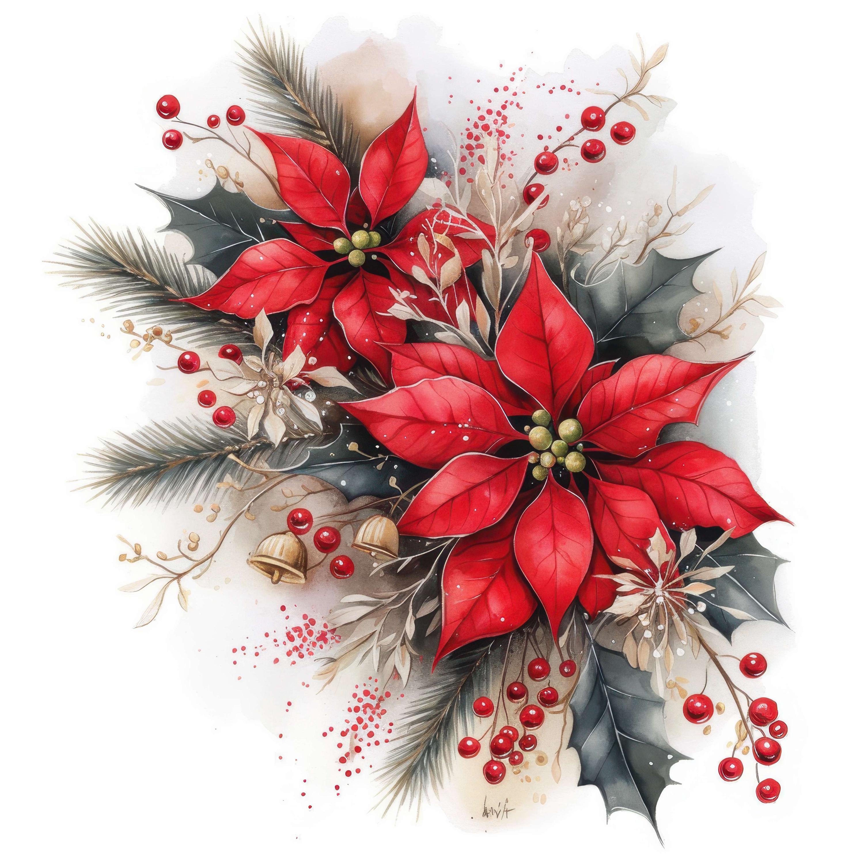 19 Poinsettia Decor Clipart Set, Christmas Flower Images, Printable ...