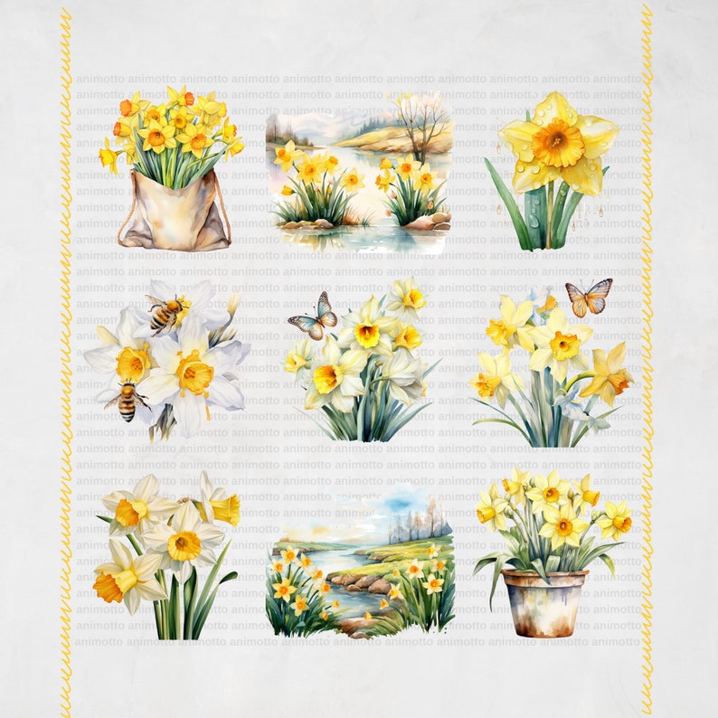 Watercolor Daffodils Clipart Bundle, Spring Flower Clipart Set, Floral ...
