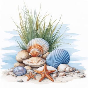 15 Tropical Beach Shells Clipart Bundle, Printable Watercolor Summer ...