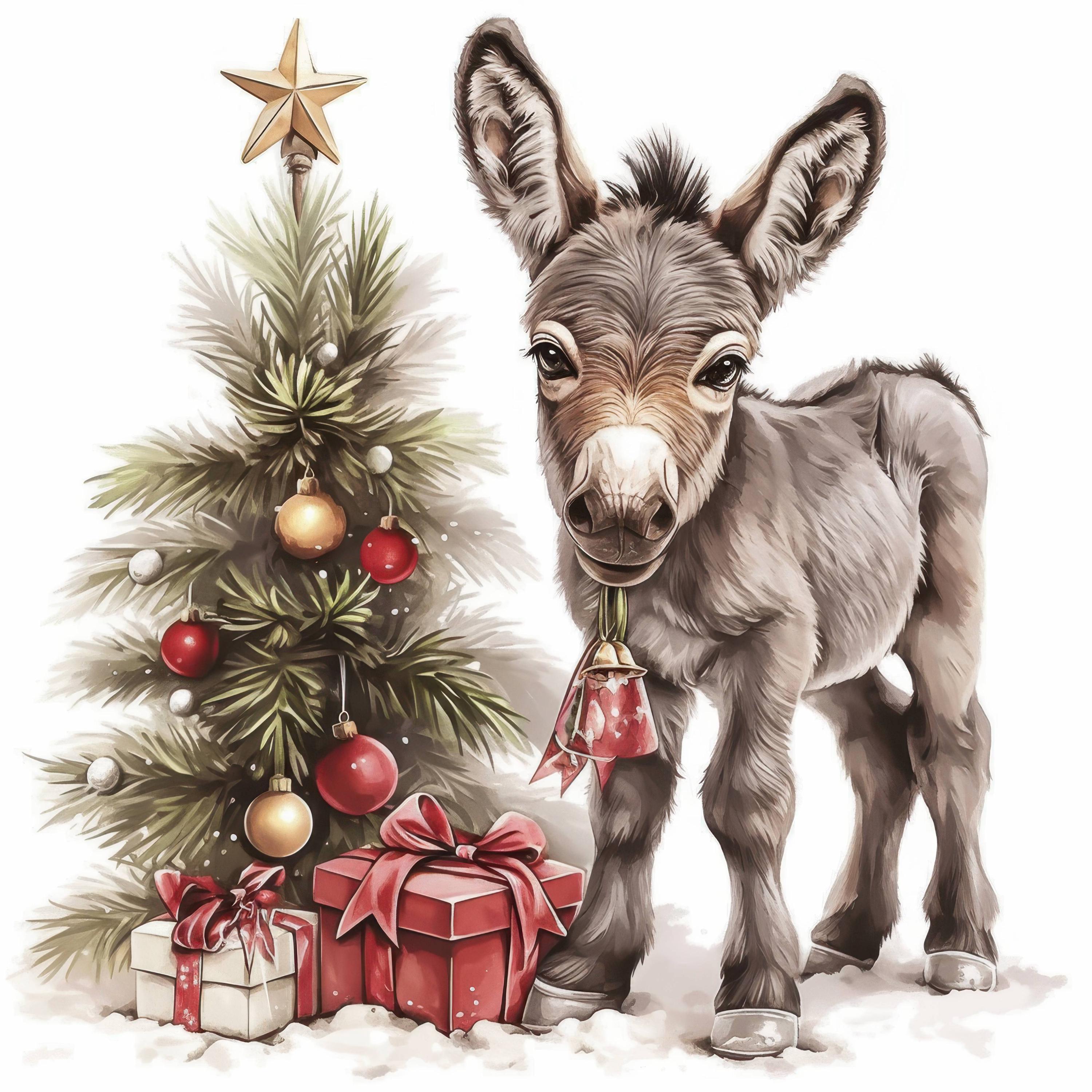 12 Festive Donkey Clipart Bundle, Christmas Donkey Illustration ...