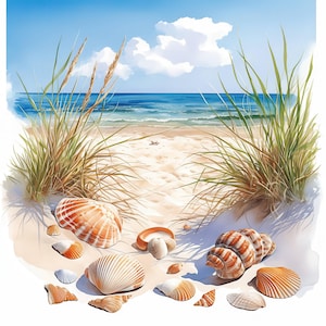 14 Summer Seashells Clipart Bundle, Seashell Prints Illustrations ...